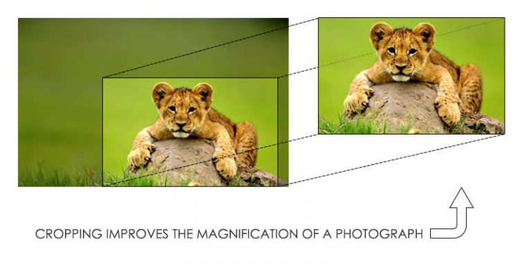 Why do you need to crop a photo? The benefits of image cropping