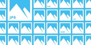 JPEG Image Format: Advantages and Disadvantages [Updated 2023 ...